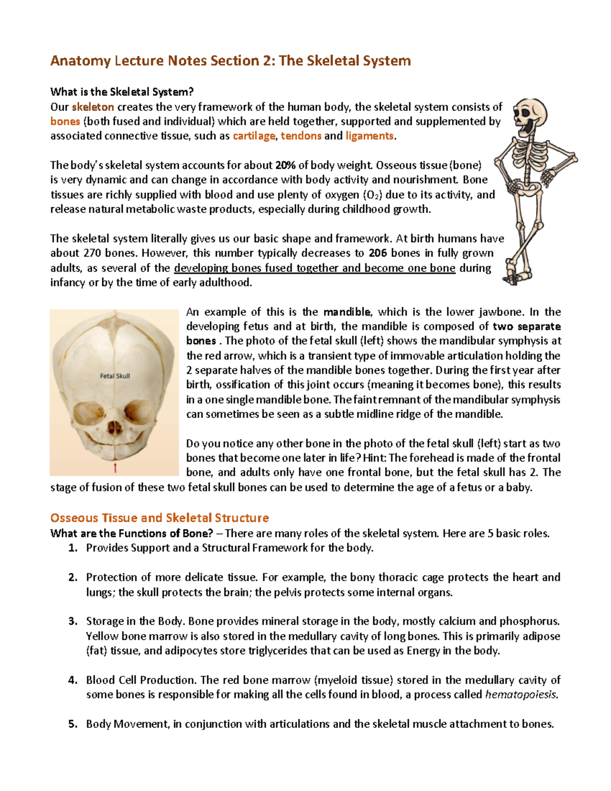 Anatomy Lecture Notes #5: The Skeletal System Overview - Studocu
