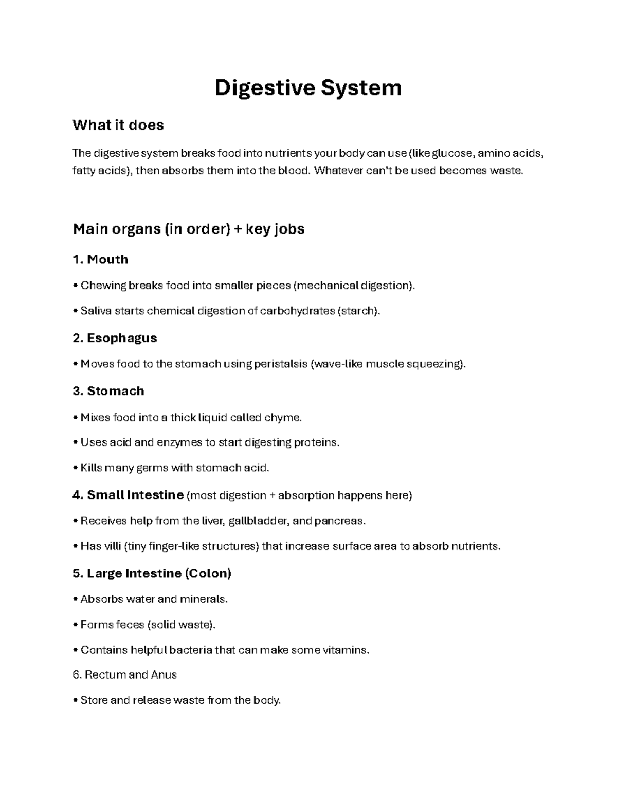 Digestive System Overview: Functions and Main Organs - Studocu