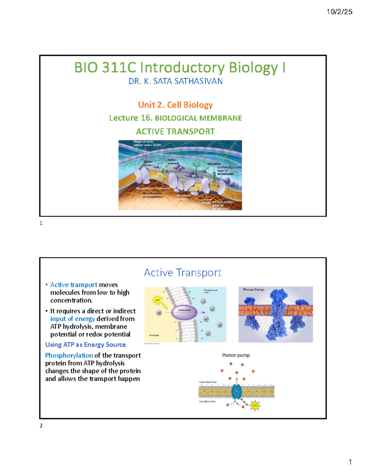 BIO 311C Lecture 16: Biological Membrane Active Transport - Fall 2025 ...