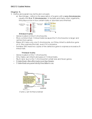 Genetics and Cell Division Study Guide: Mitosis, Meiosis & Mendelian ...