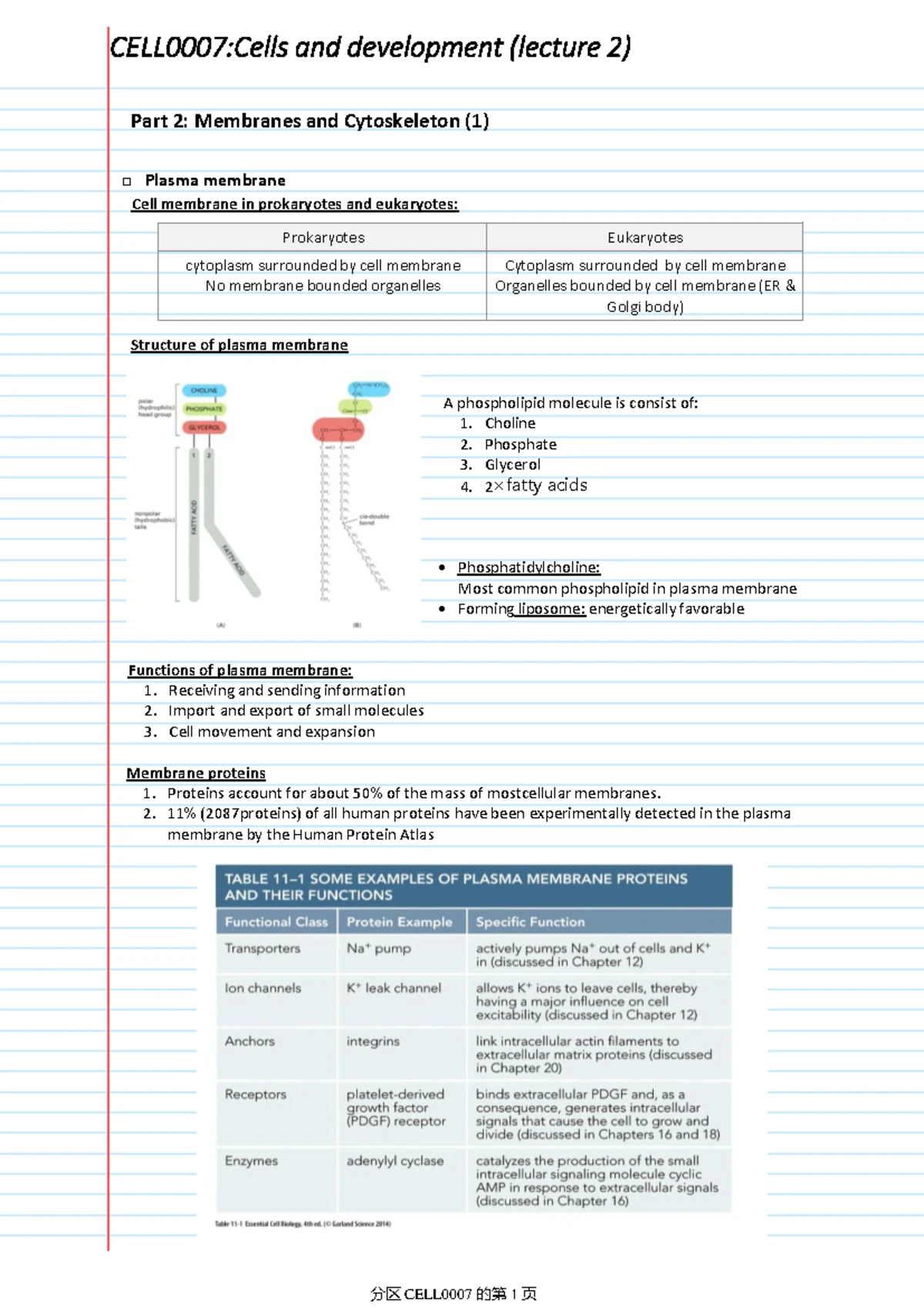 Cell Biology: Membranes and Cytoskeleton Overview (CB 101) - Studocu