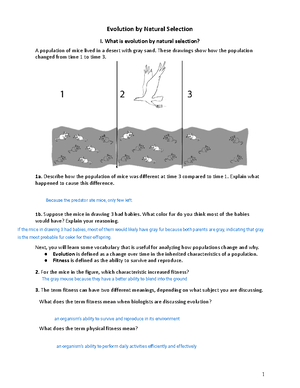 Kami Export - Snurfle Meiosis and Genetics 2 Worksheet - Snurfle ...