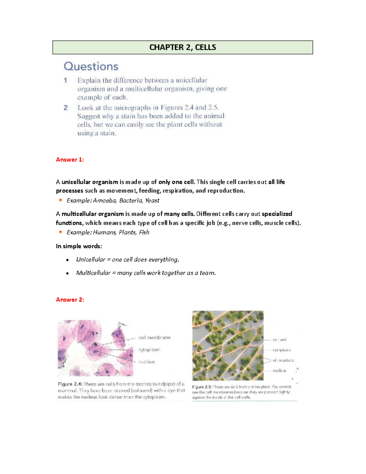CHAPTER 2 (CELLS) - Key Concepts and Answers - Studocu