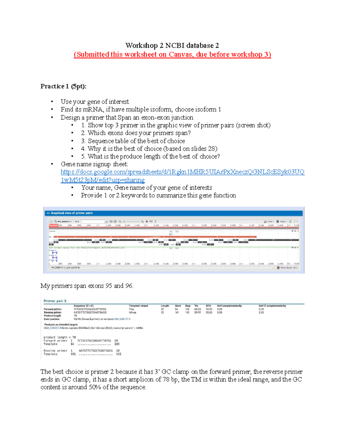 Workshop 2: NCBI Database Practice on Gene Primer Design - Studocu