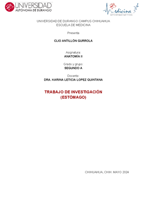 [Solved] Apfisis Unciforme funcion y relacion - Anatomia y disecciones ...