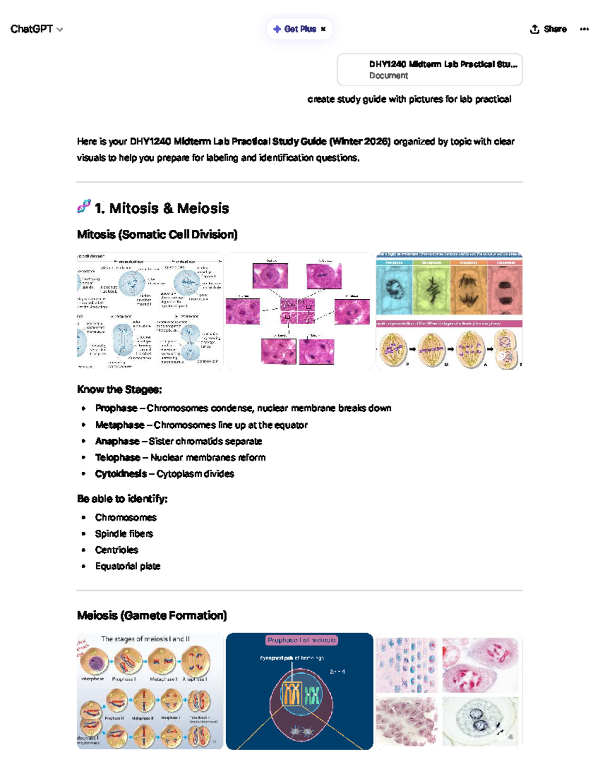 DHY1240 Midterm Lab Practical Study Guide (Winter 2026) - Studocu