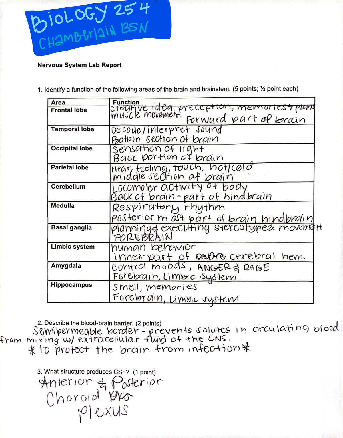Bio 101 - Week 4 Lab Report Insights & Findings - Studocu