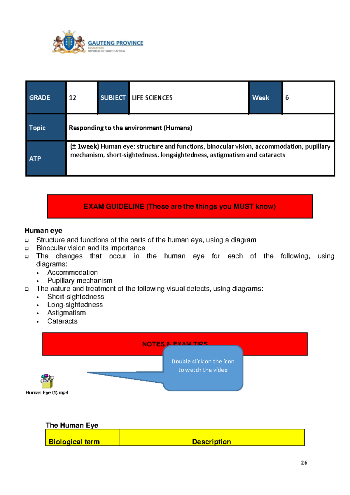 Life Sciences Grade 12 Term 2 Exam Notes: The Human Eye Functions and ...