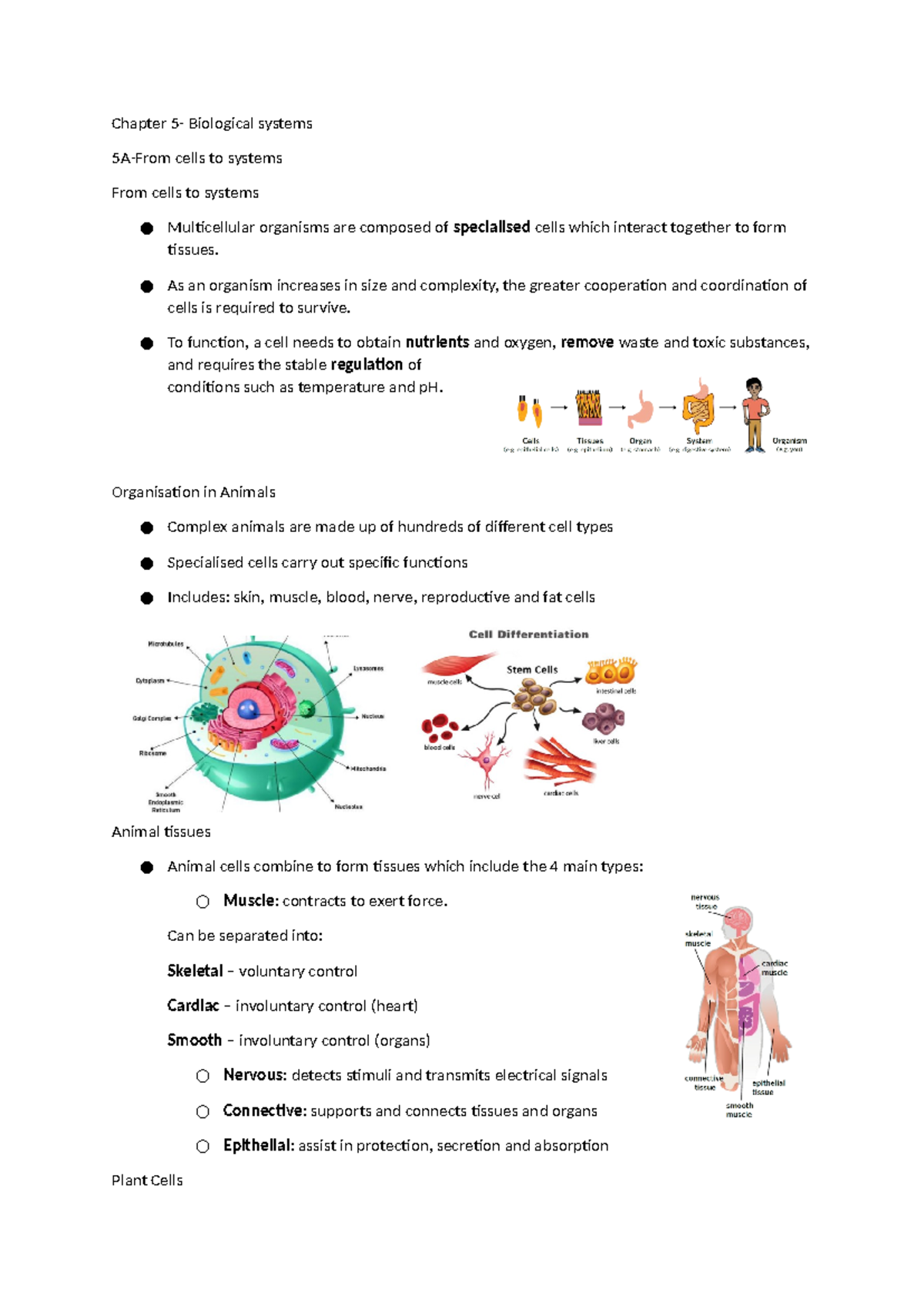 Chapter 5 Summary - Chapter 5- Biological systems 5A-From cells to ...