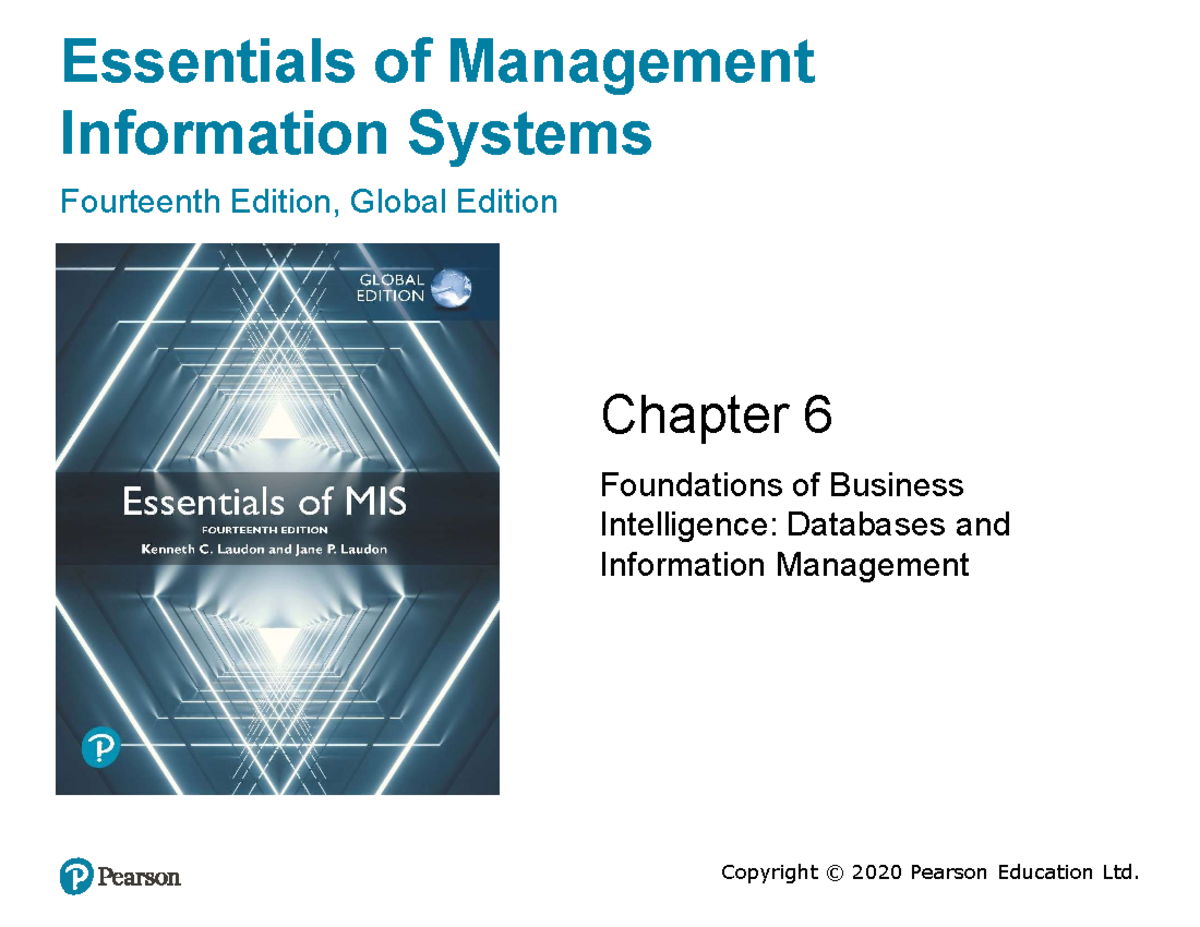 EMIS 14: Chapter 6 - Foundations of Business Intelligence & Databases ...