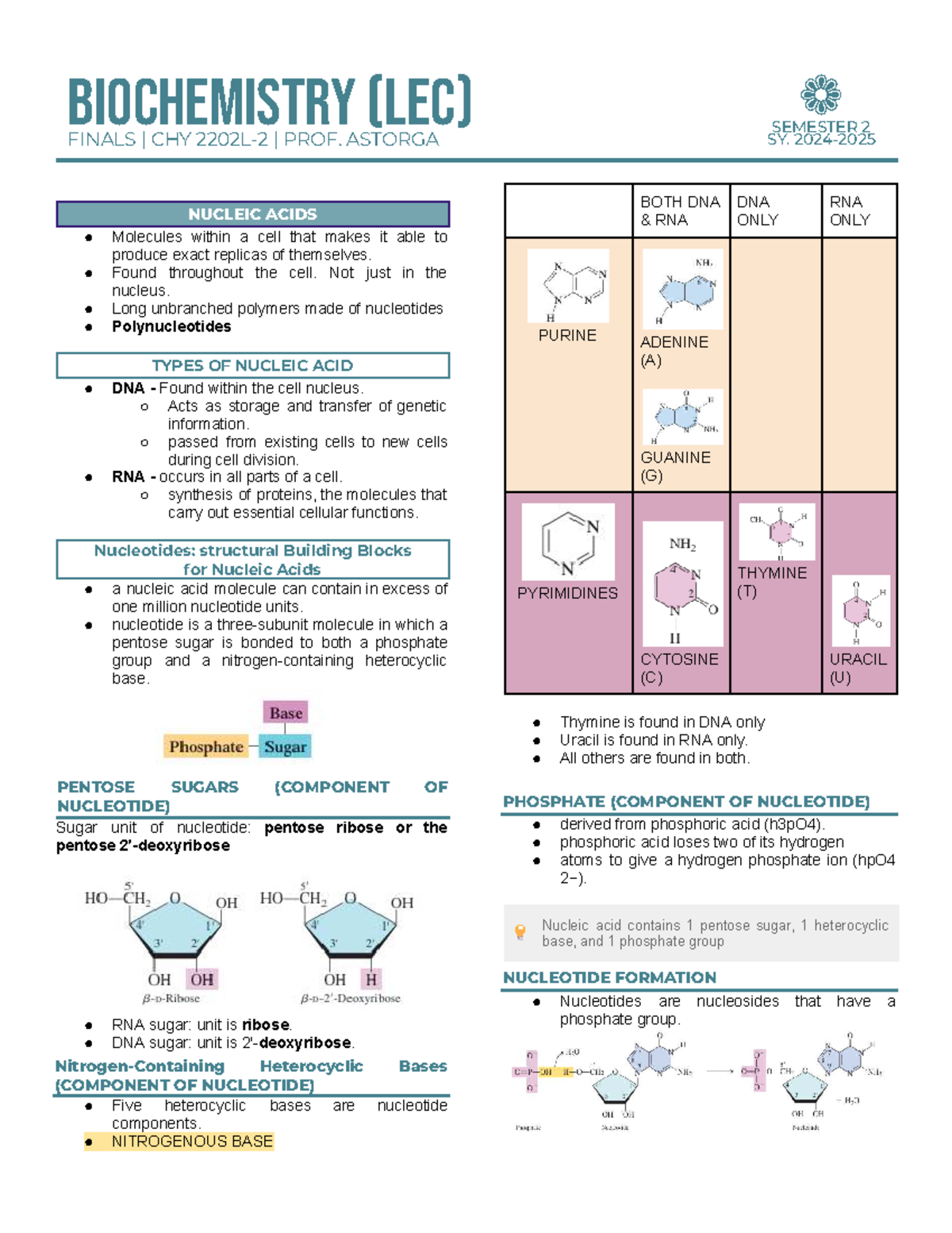 Nucleic Acid Structure and Function: EMESTER S CHY PROF. UCLEIC Notes ...