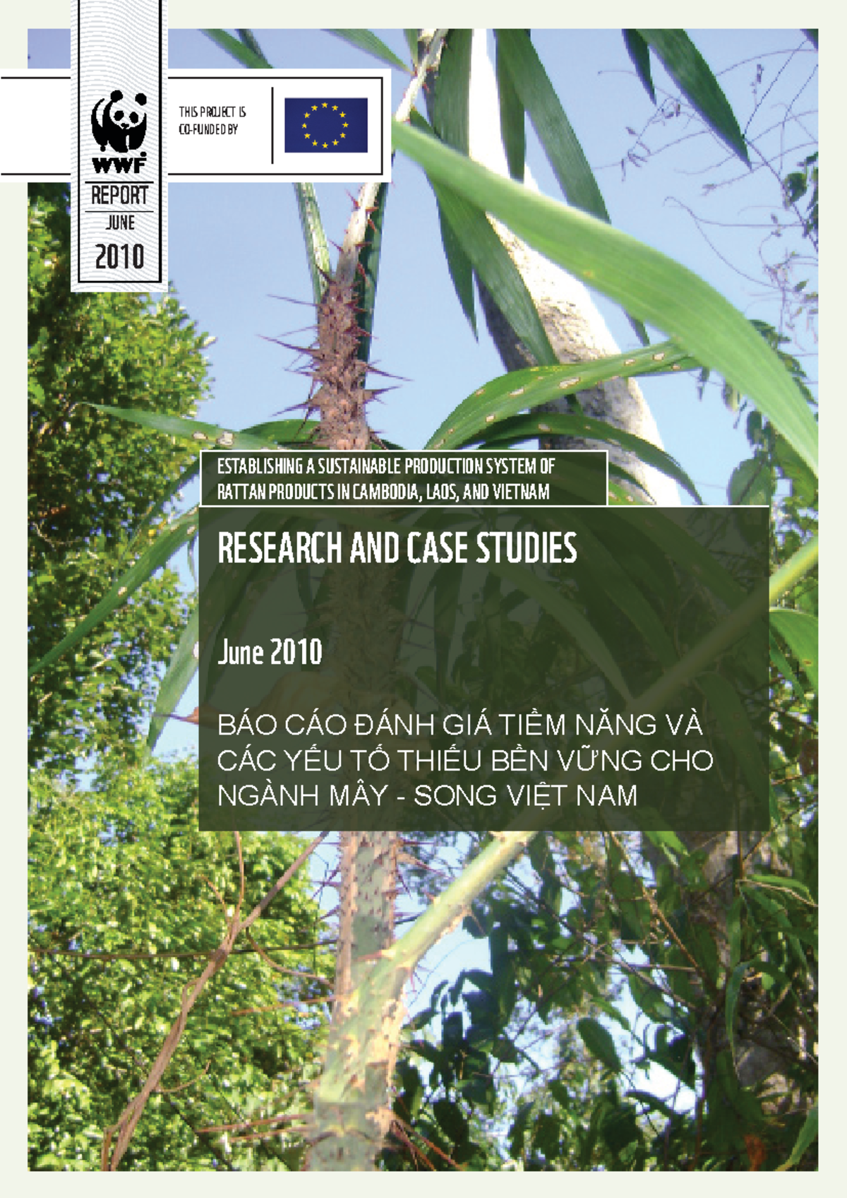Vietnam country assesment reportvn - THIS PROJECT IS CO-FUNDED BY ...