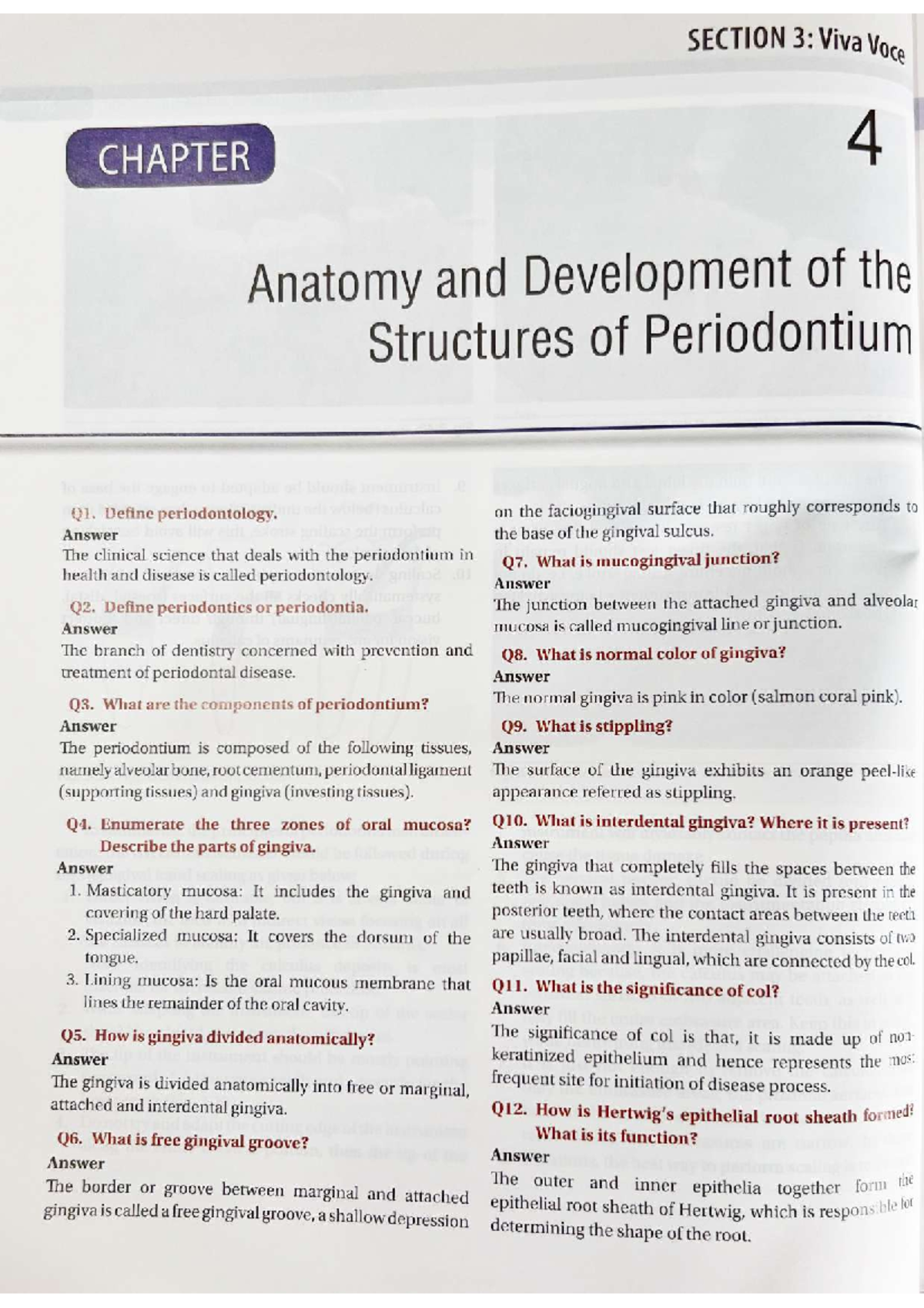 anatomy and development of the structures of periodontium - BDS - Studocu