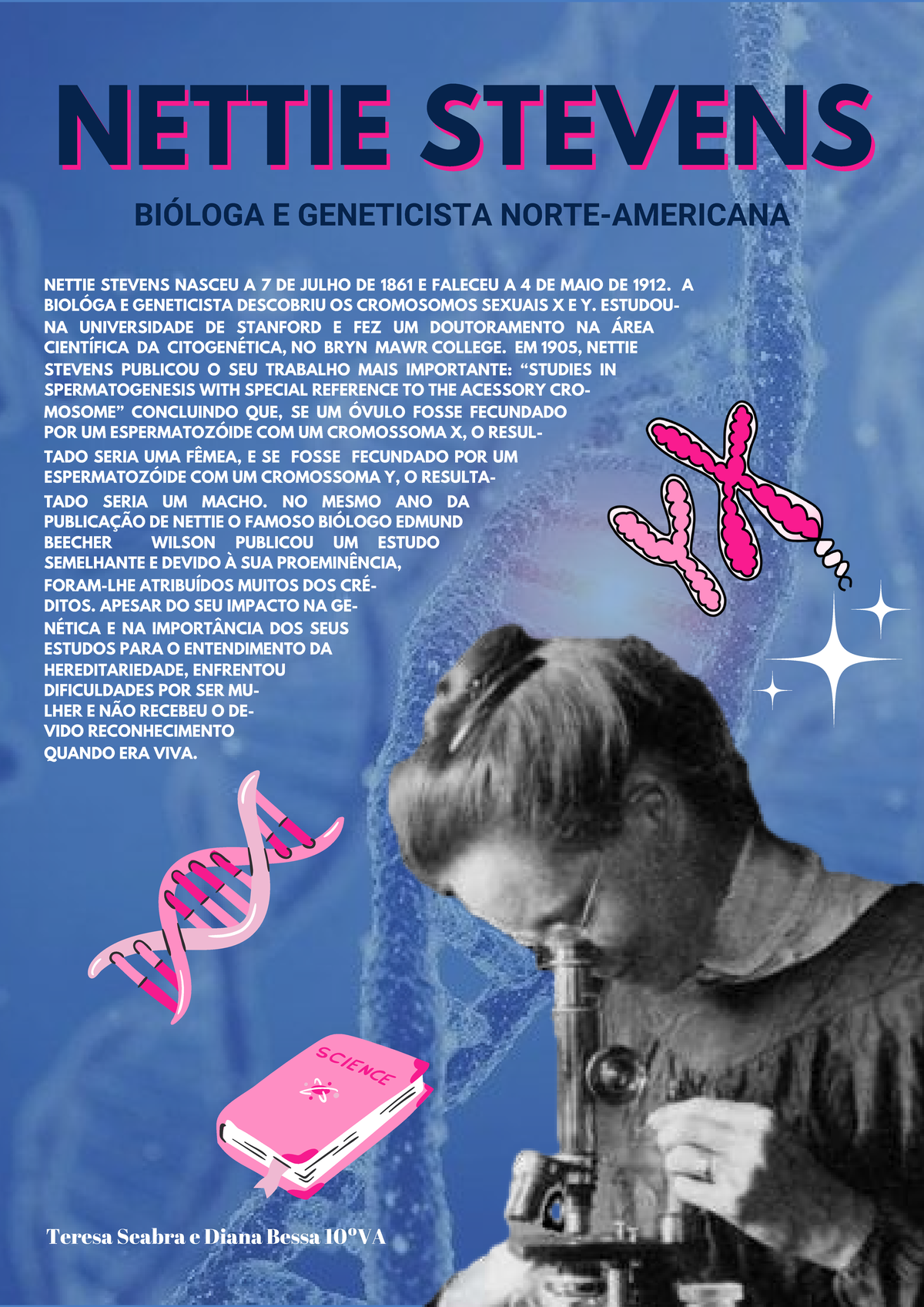 NETTIE STEVENS: CURIOSIDADES SOBRE A GENETICISTA (10ºVA) - Studocu