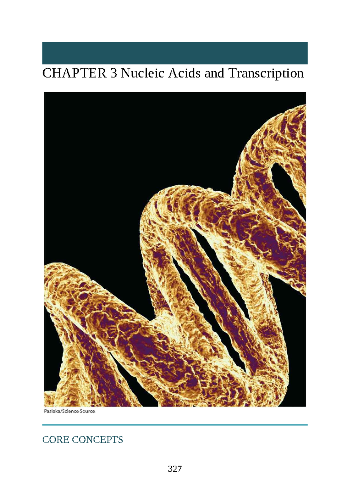 Chapter 3: DNA Structure, Function, and Transcription Processes - Studocu