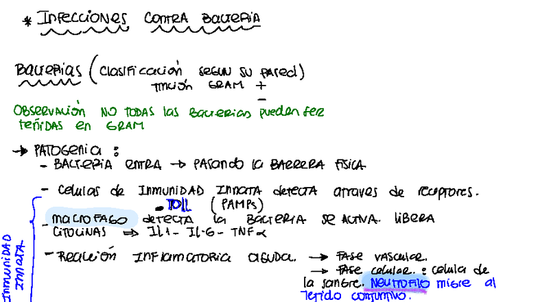 Infecciones Bacterianas y Virales: Clasificación y Respuesta ...