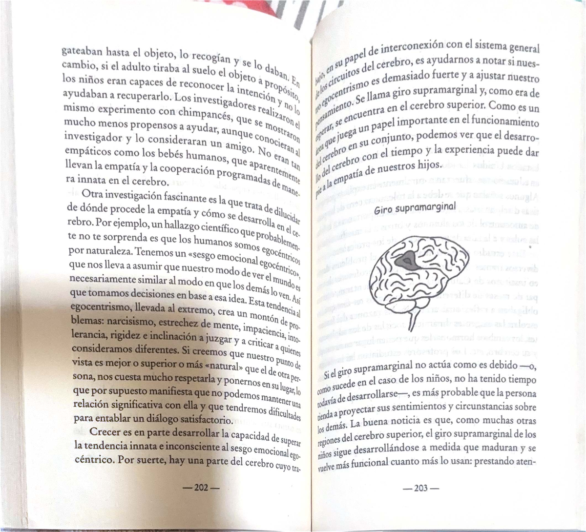 Empatía y Desarrollo Infantil: El Rol del Giro Supramarginal en la ...
