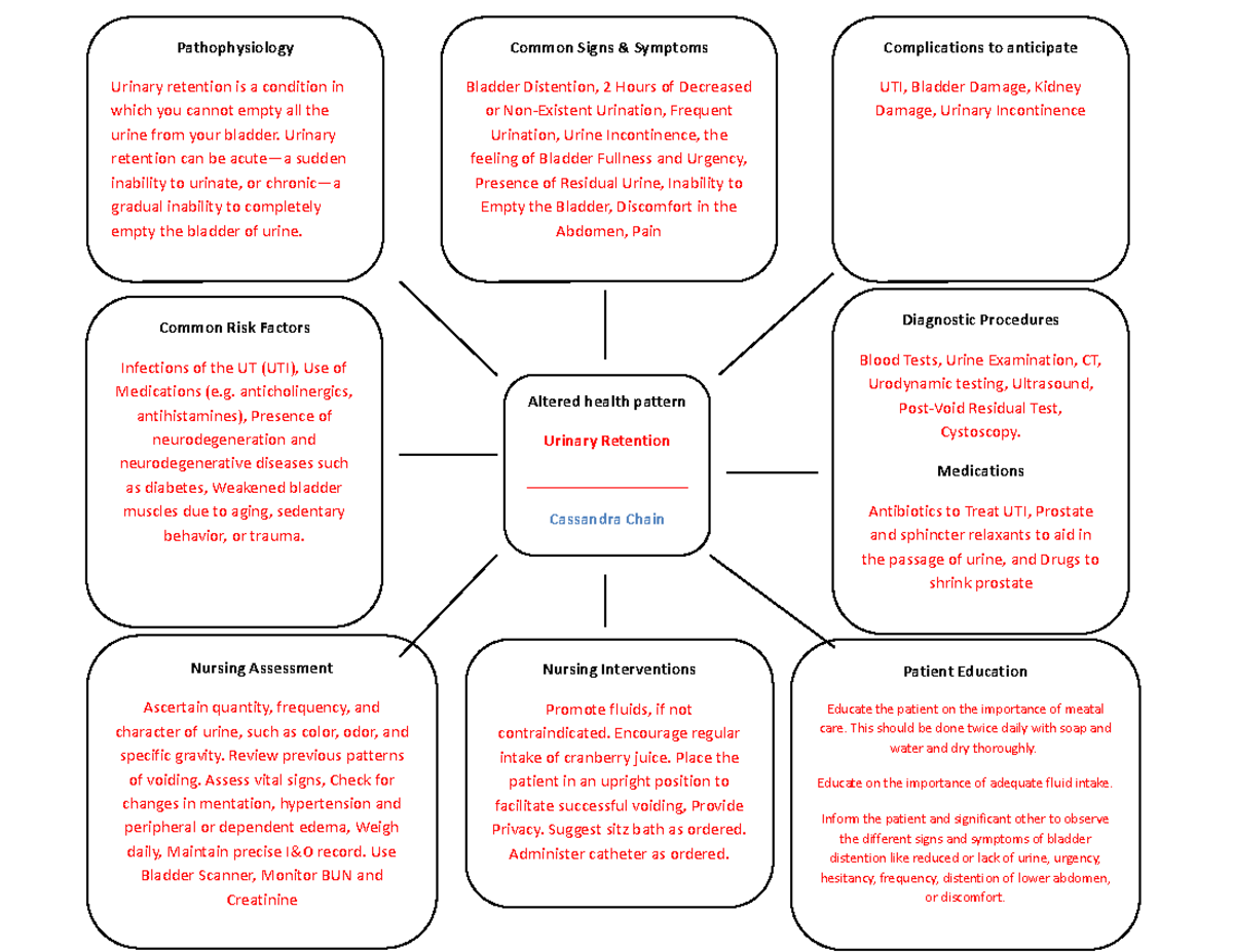 Urinary Retention Concept Map & Nursing Guide for Patient Care - Studocu