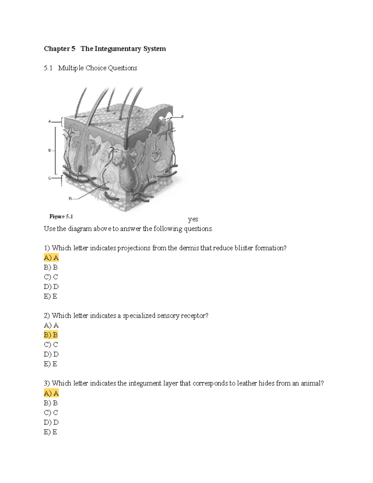 Anatomy 101: Chapter 5 Integumentary System MCQs Study Guide - Studocu