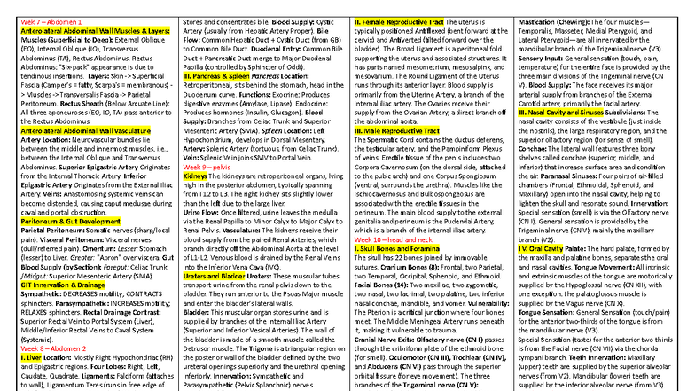 Abdomen & Head/Neck Anatomy Cheat Sheet 2: Week 7-11 Overview - Studocu