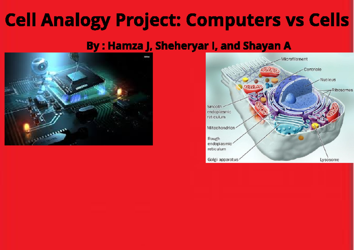 Cell Analogy Project Computers - Cell An alogy Pr oject : Com pu t er s ...
