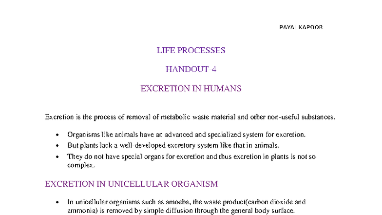 LIFE PROCESSES: EXCRETION IN HUMANS - CLASS X HANDOUT - Studocu