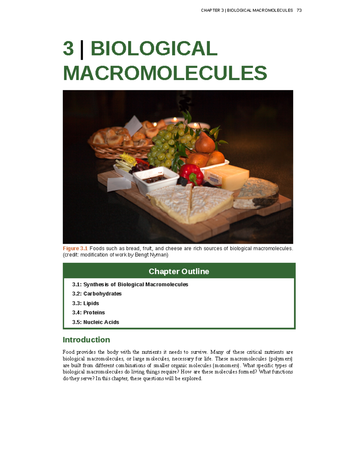 CHAPTER 3: BIOLOGICAL MACROMOLECULES - Synthesis, Carbs & Lipids - Studocu
