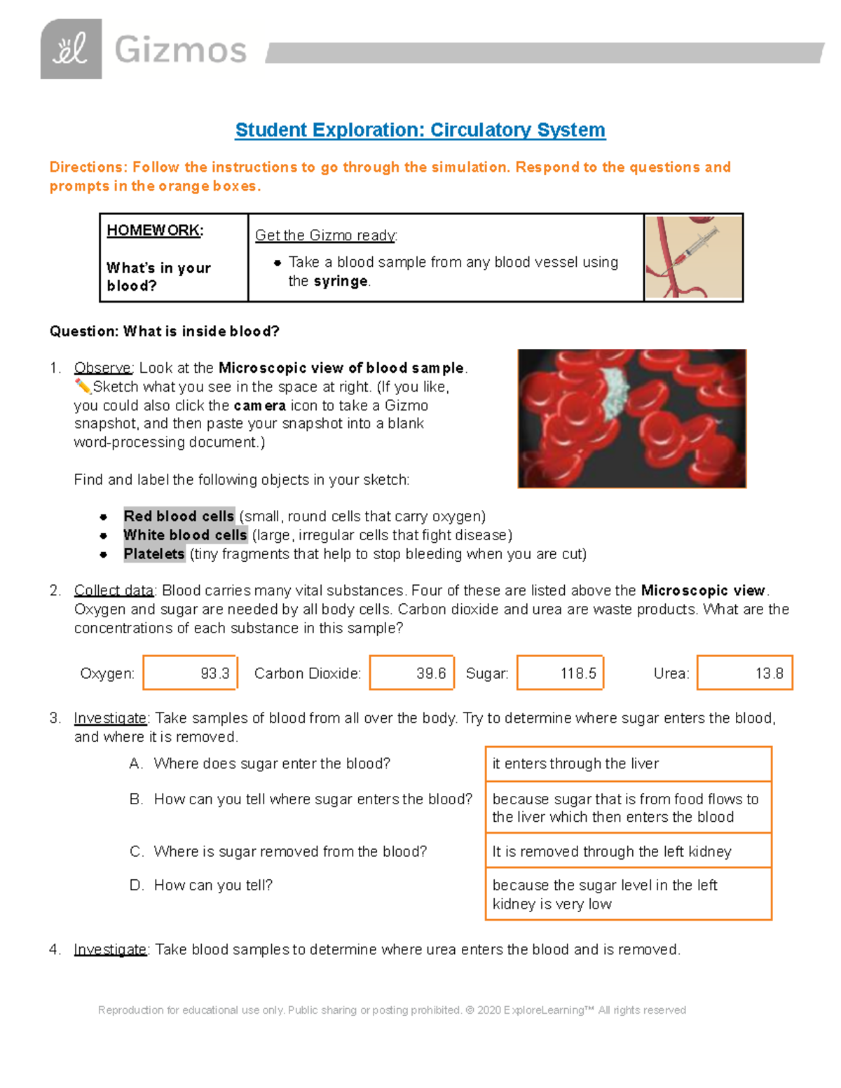 Copy of Homework What's in your blood - Student Exploration ...