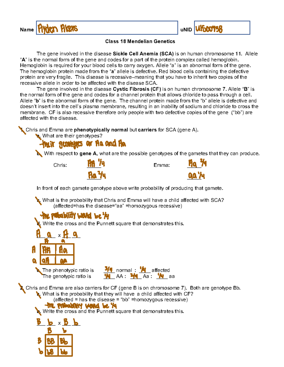 Worksheet 18 Mendelian Genetics - Name uNID Class 18 Mendelian Genetics ...