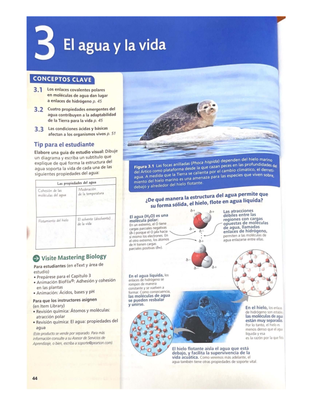 3. El agua y la vida: Propiedades y su Importancia en la Tierra ...