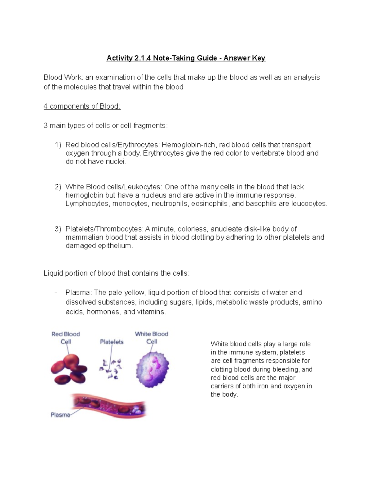 Activity 2.1.4 Note-Taking Guide: Blood Work and Lab Tests Answer Key ...