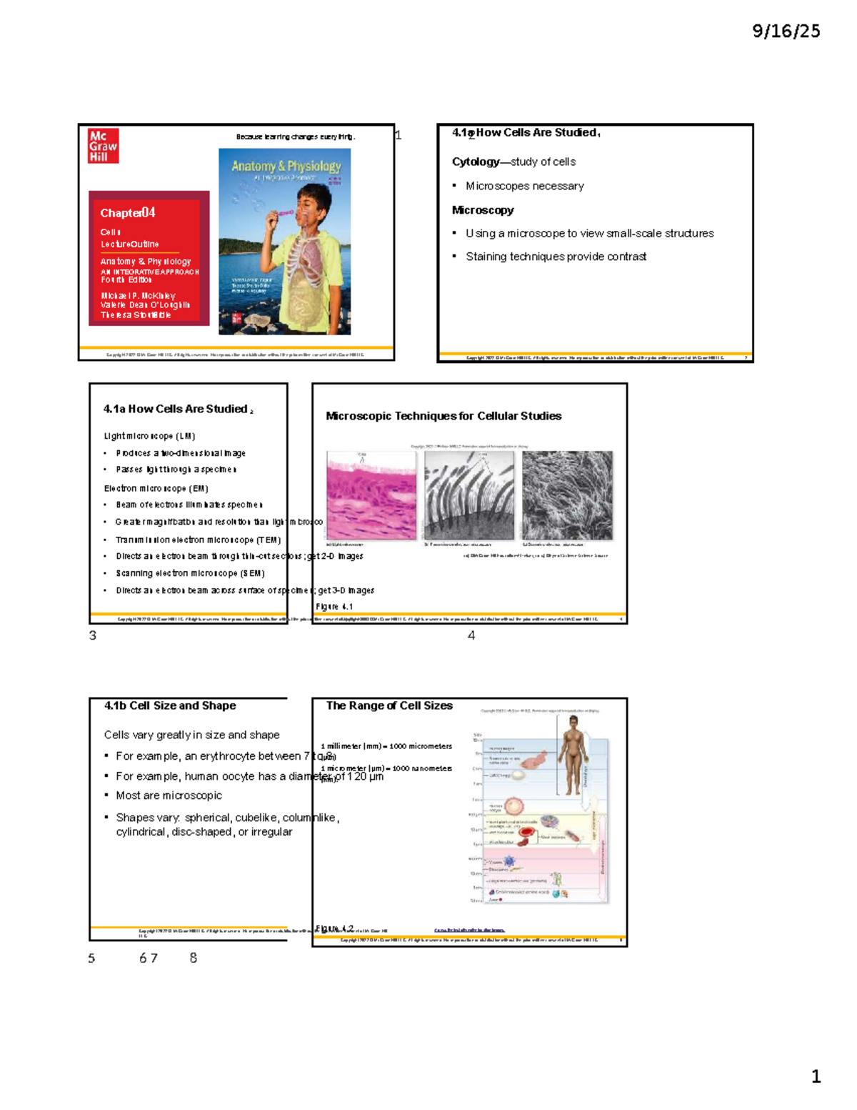 The Cell Cycle and Protein Synthesis Overview: Key Processes Explained ...