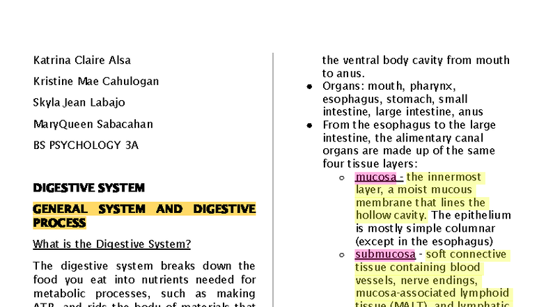 BS PSYCHOLOGY 3A Digestive System Lecture Notes Overview - Studocu