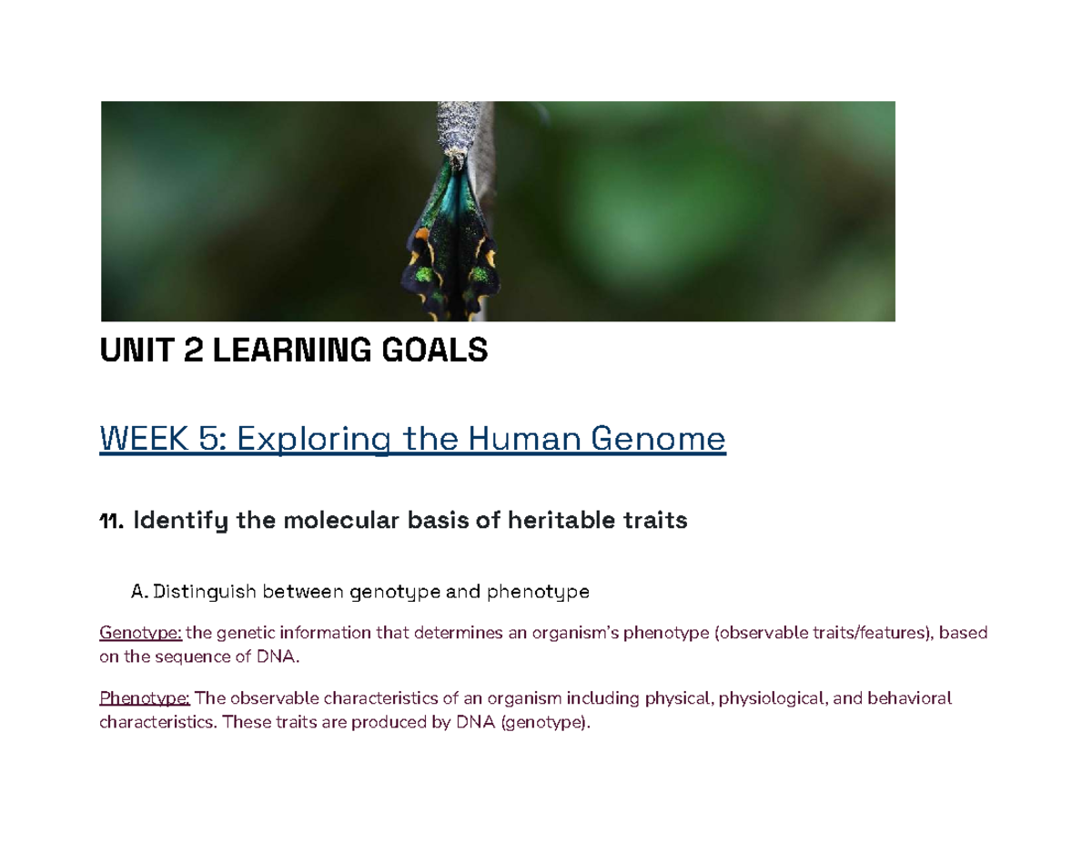Unit 2 learning goals week 5: Exploring the human genome and mutations ...