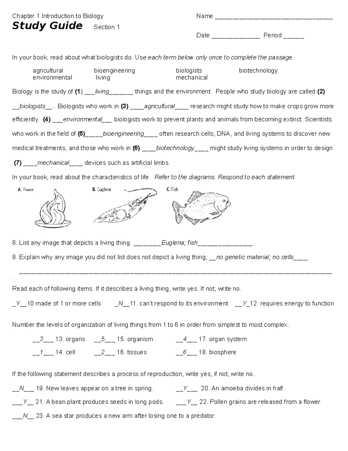 Invertebrates Guided Notes: Key Concepts and Classifications - Studocu
