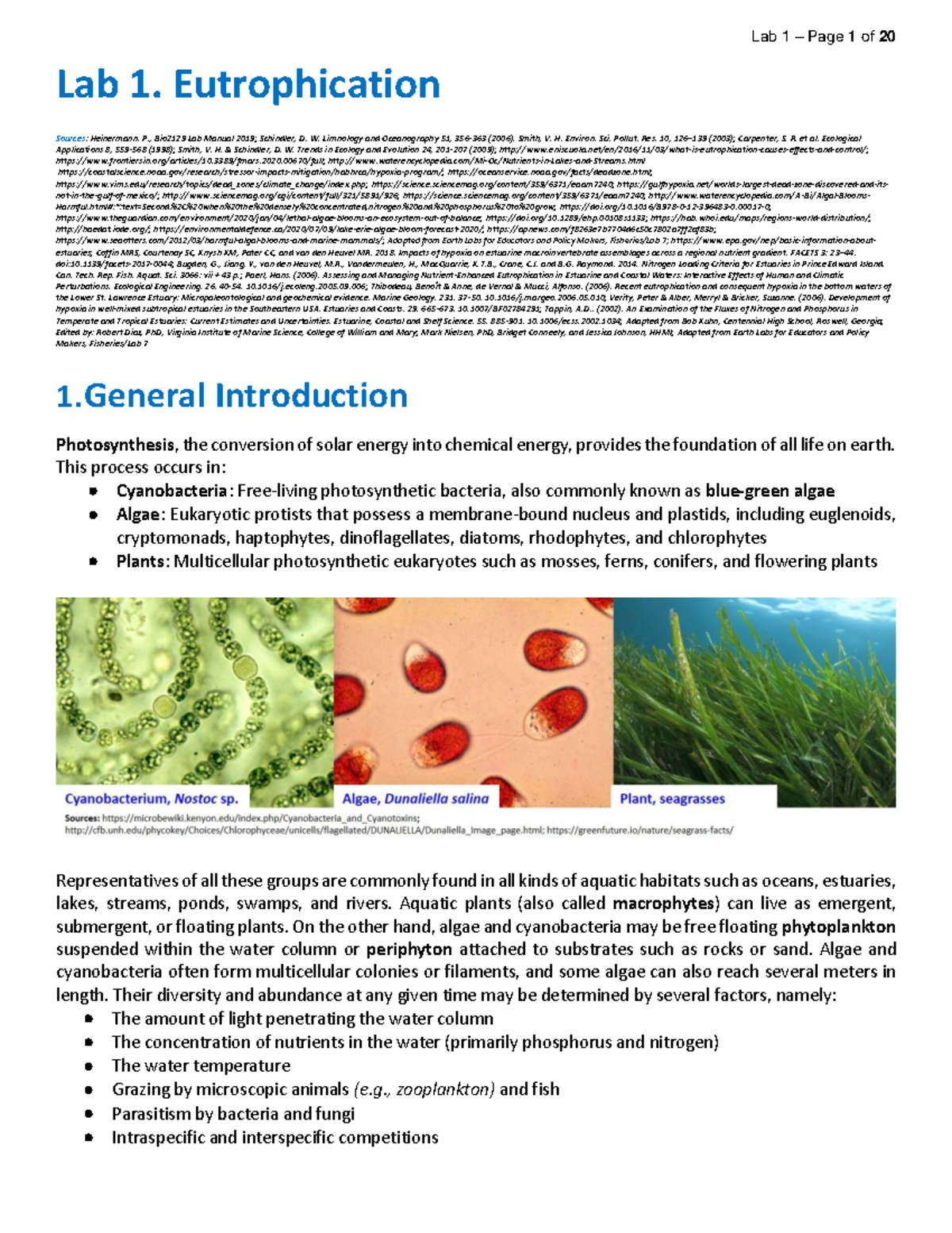 Lab 1: Eutrophication and Its Impact on Aquatic Environments (Bio2129 ...