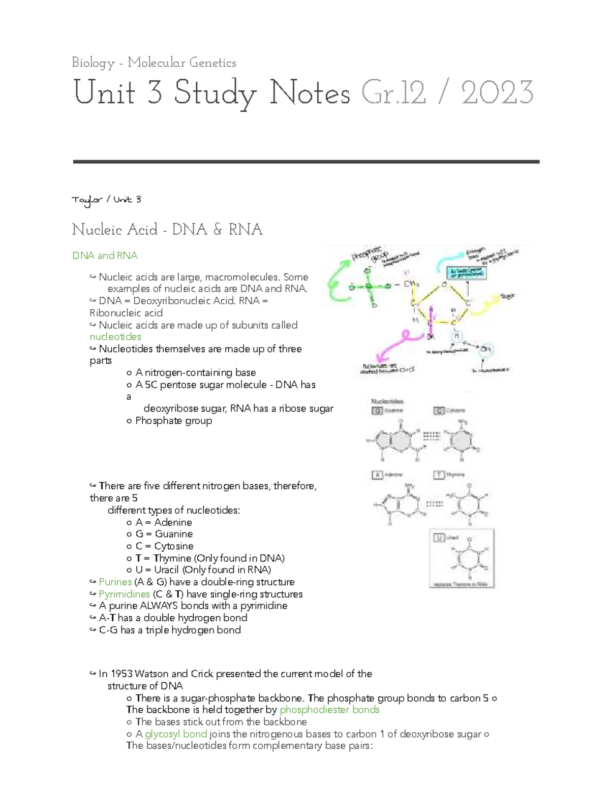 Biology Molecular Genetics Unit 3 Study Notes Gr.12 2023 - Studocu