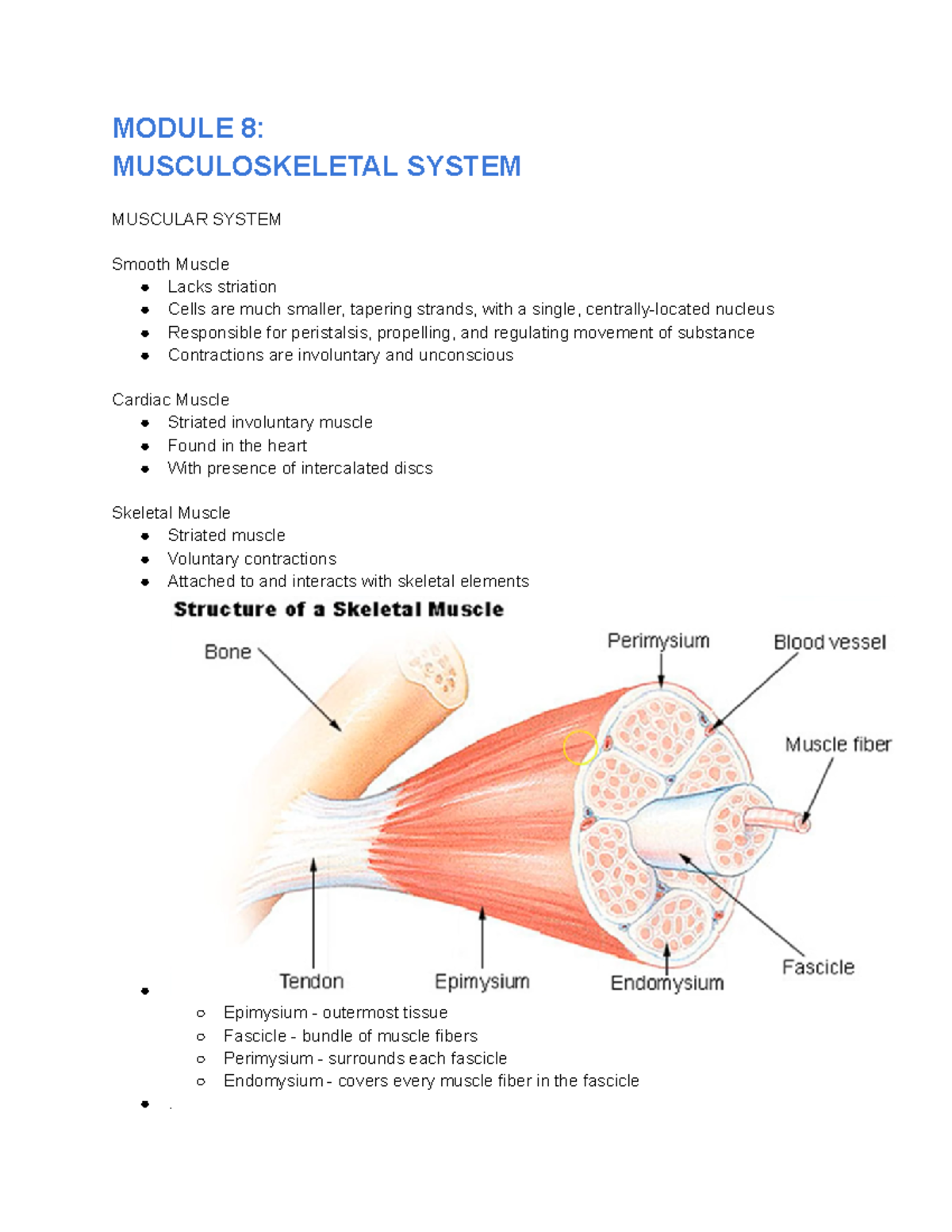 Musculoskeletal System Overview and Key Concepts - Module 8 Notes - Studocu