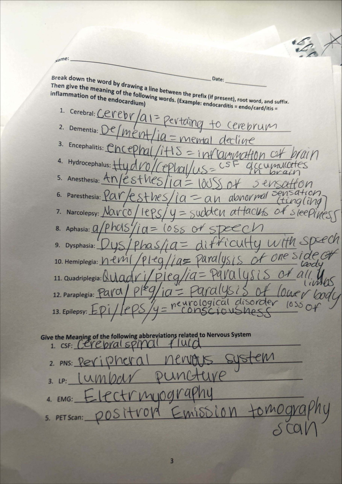 NRS 101: Inflammation and Nervous System Terminology Breakdown - Studocu