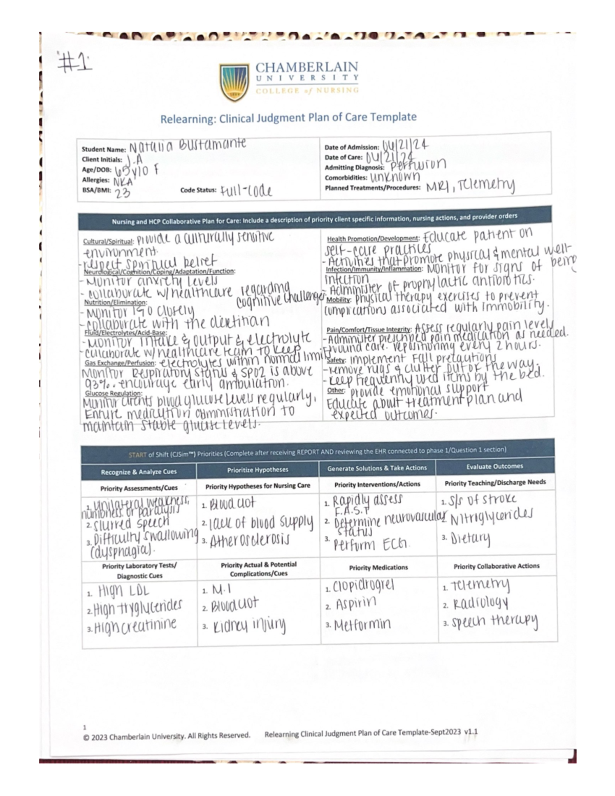 CHAMBERLAIN 3 - Clinical Judgment Plan of Care Template Overview - Studocu