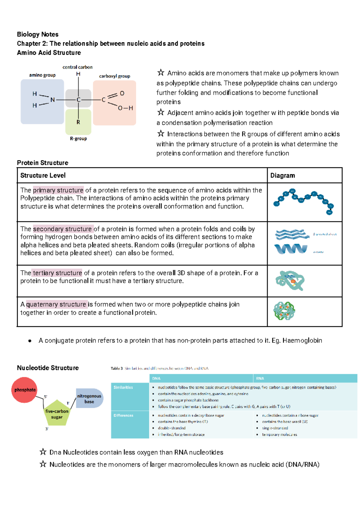Biology U3 Notes - Biology Notes Chapter 2: The relationship between ...