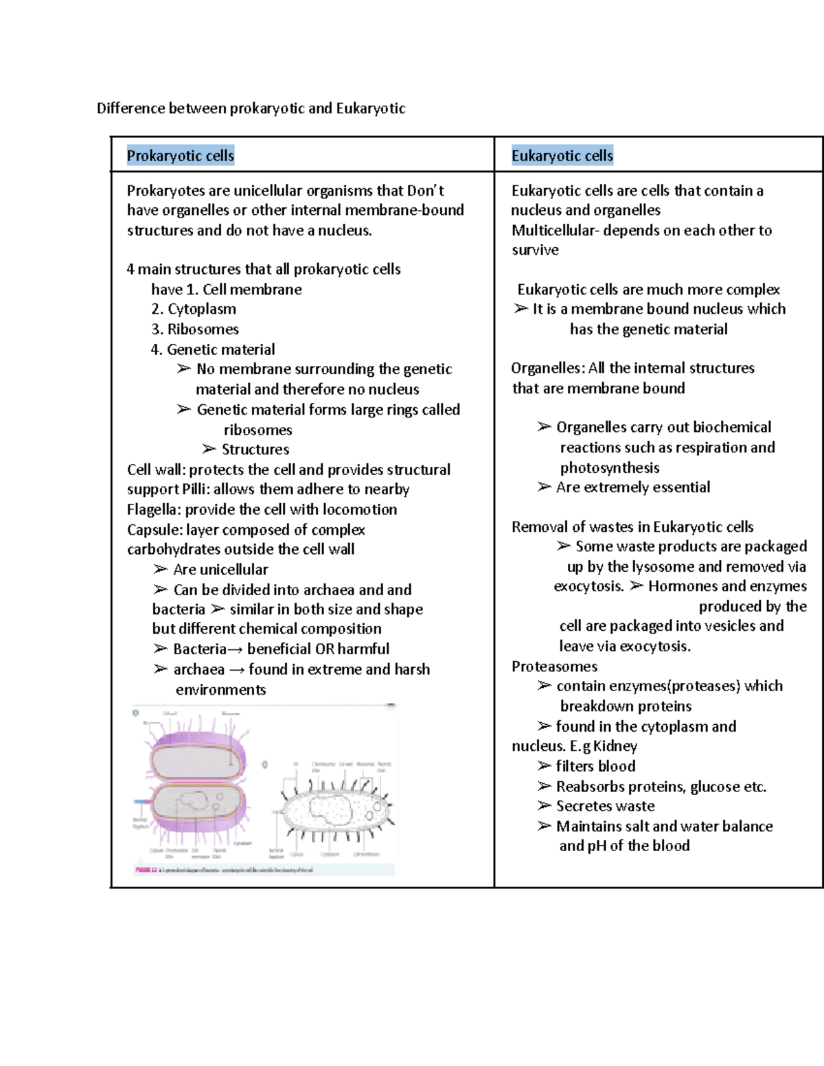 Bio Notes - Biology Note Sheet - Difference between prokaryotic and ...