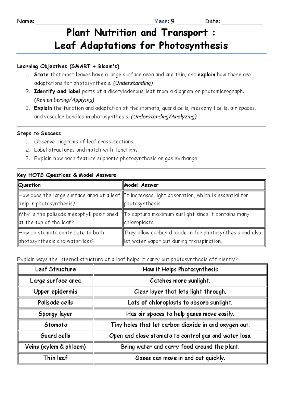 Leaf Adaptations Worksheet: Plant Nutrition & Transport (BIO 101) - Studocu