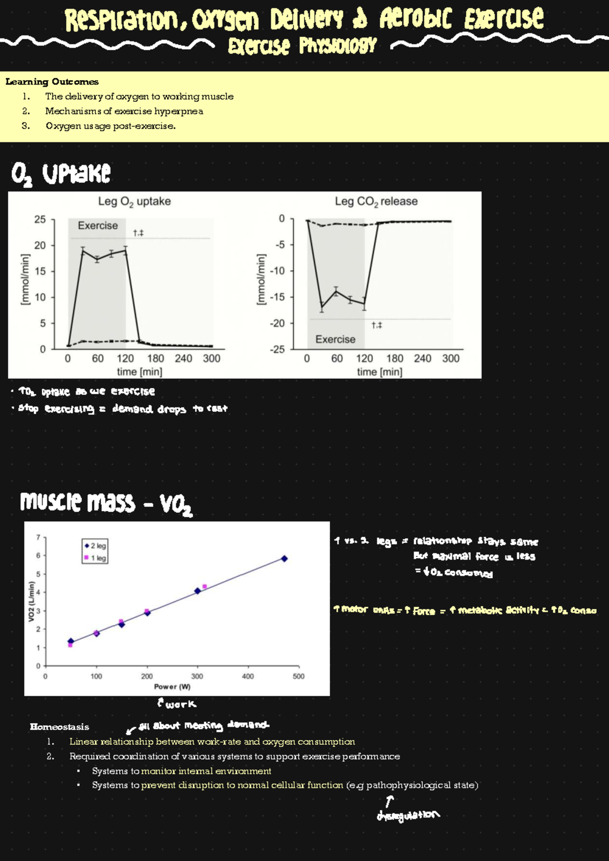 Respiration and Oxygen Delivery in Aerobic Exercise (EXERCISE ...