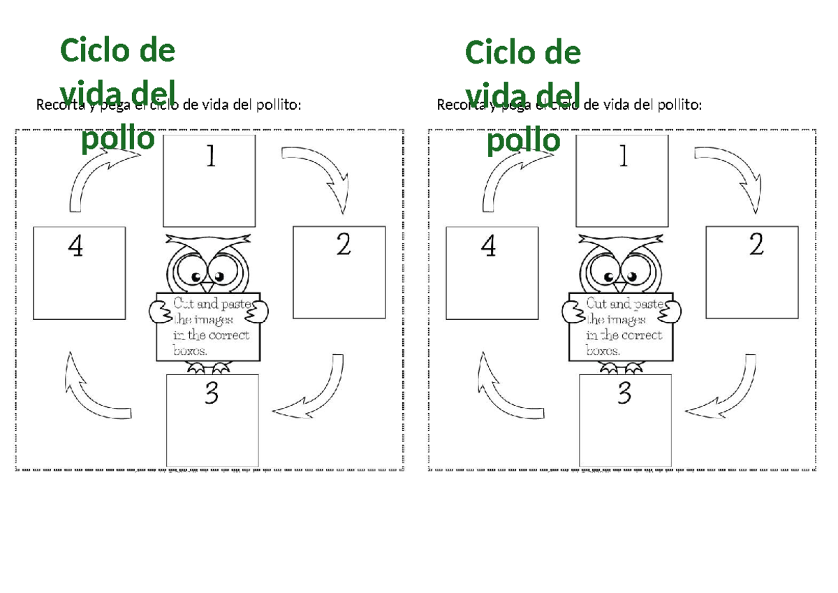 Ficha ciclo de vida del pollo 1 - educacion primaria tutoria - Recorta ...