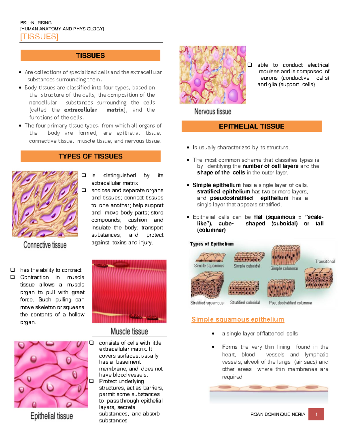 Module 4: Tissue Types in Human Anatomy & Physiology (HAP) - Studocu