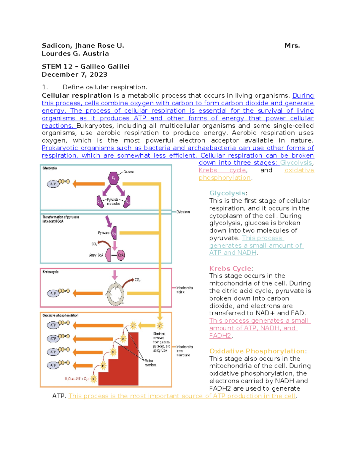 STEM 12: Comparison Between Aerobic and Anaerobic Respiration - Studocu