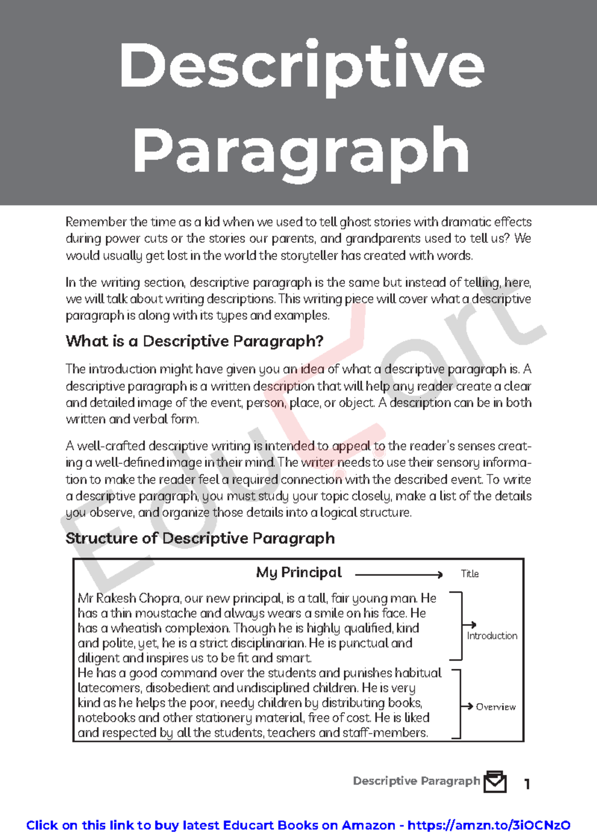 Descriptive Paragraphs: Techniques & Examples for Class 9 English - Studocu