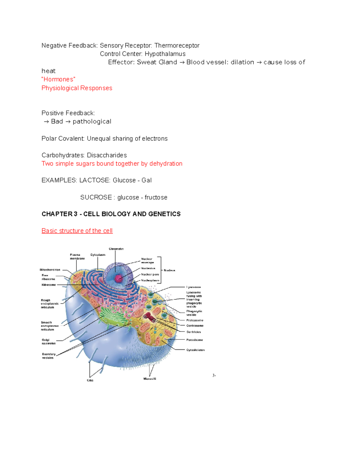 Histology CH3: Integumentary System & Cell Biology Functions Overview ...