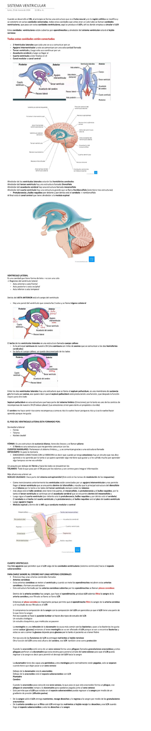 Laboratory diagnosis of anemia: old and new red cell parameters (ANEM 2 ...